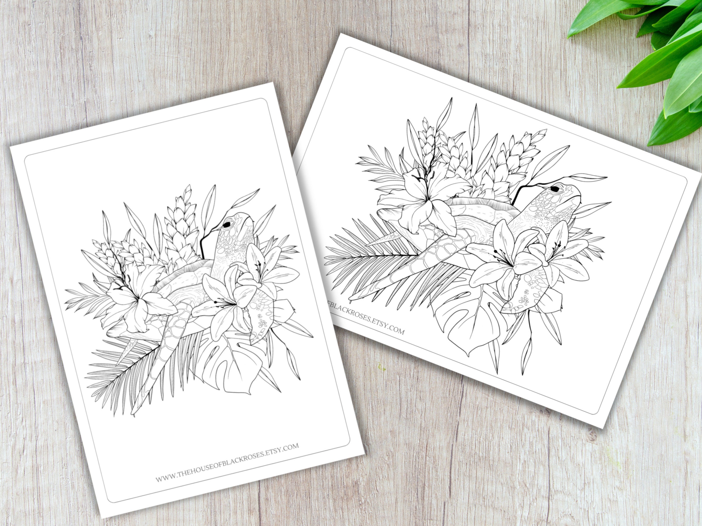 DIGITAL DOWNLOAD Printable Coloring Pages Instant Download Colouring ...