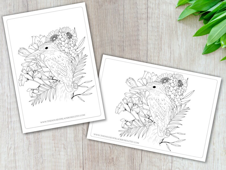 DIGITAL DOWNLOAD Printable Coloring Pages Instant Download Colouring ...