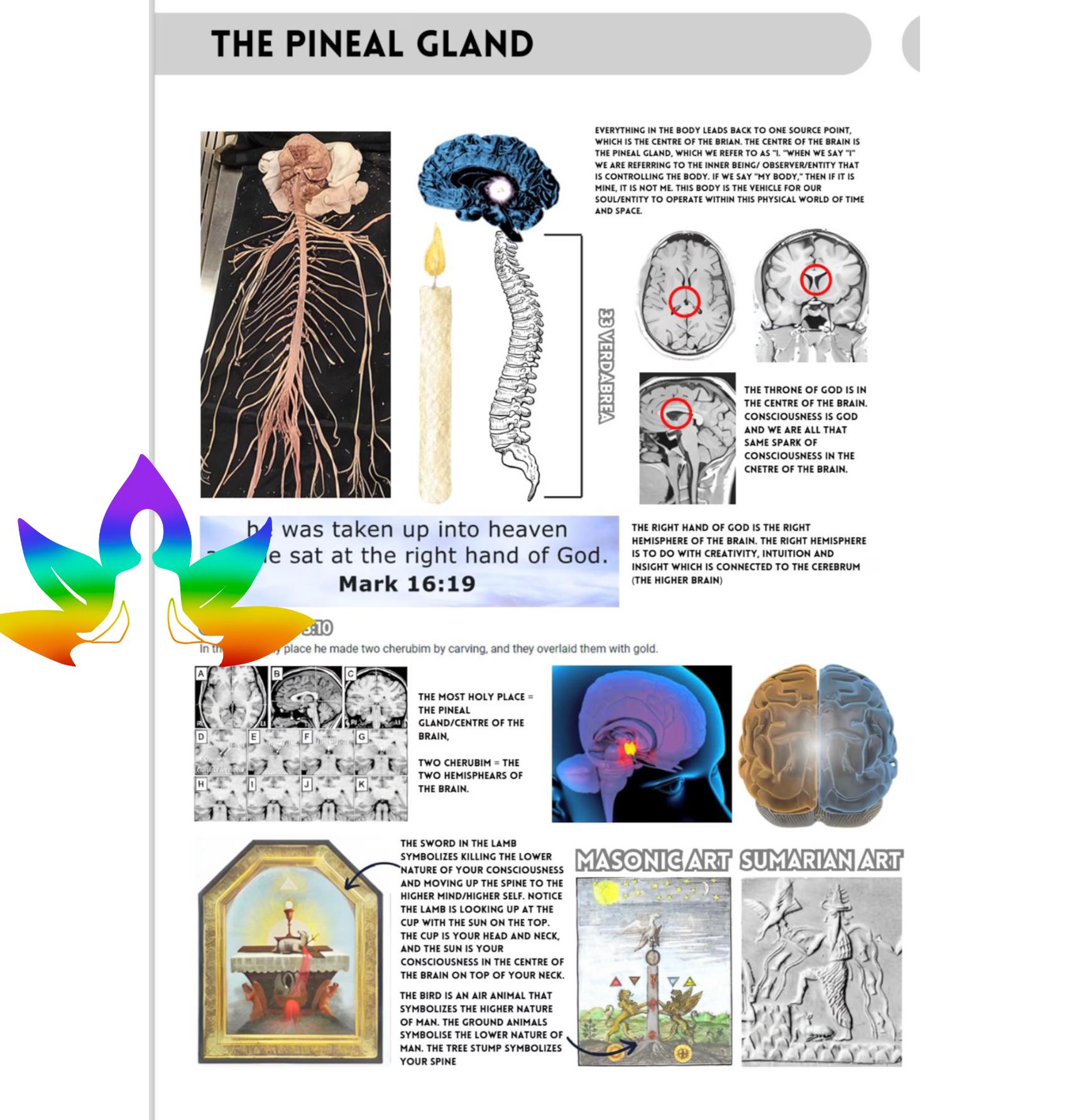 The Book of Wisdom / Human Health Guide / Alkaline Awakening / Energy Codes / Audio : Frequency ...