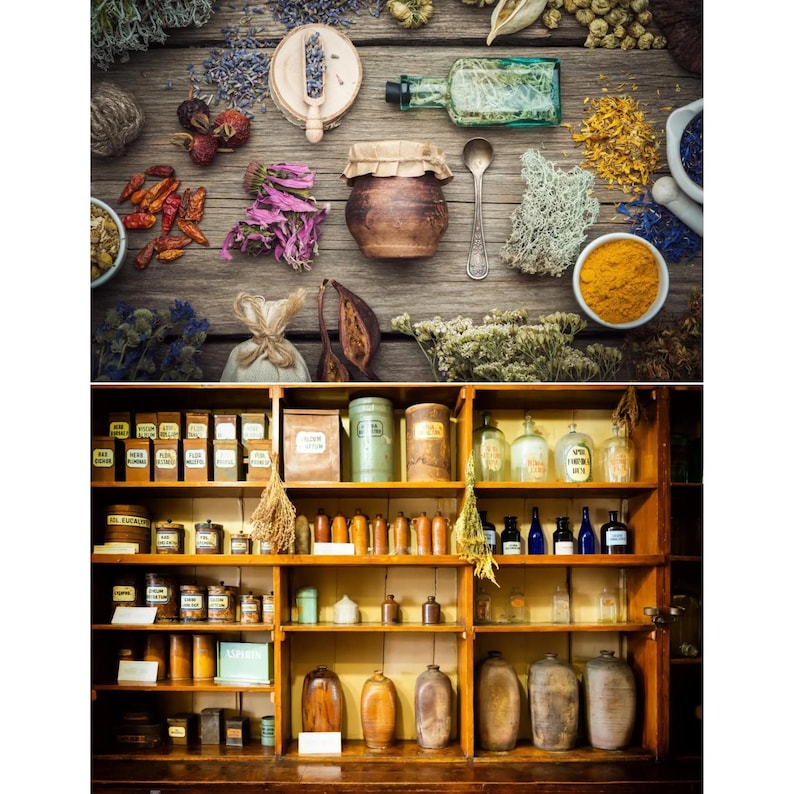 Forgotten Home Apothecary / the Holistic Home Apothecary / 1000 ...