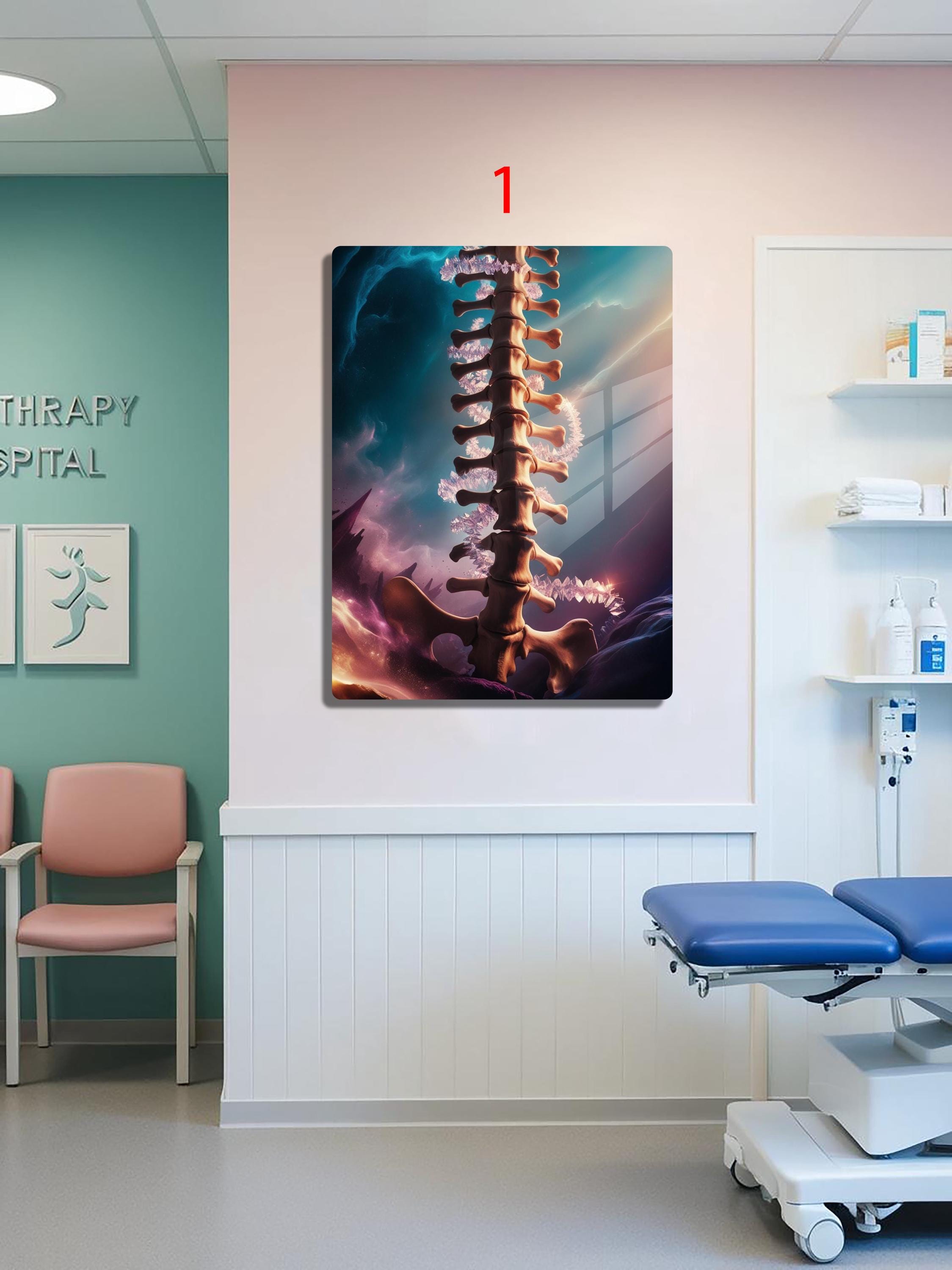 Spine, Chiropractic Art, Anatomie Poster Print on Metal, Orthopedic ...