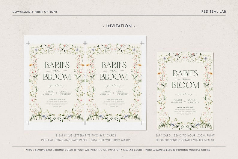 Double Baby Shower Invitation Template, Joint Baby Shower Invitation ...