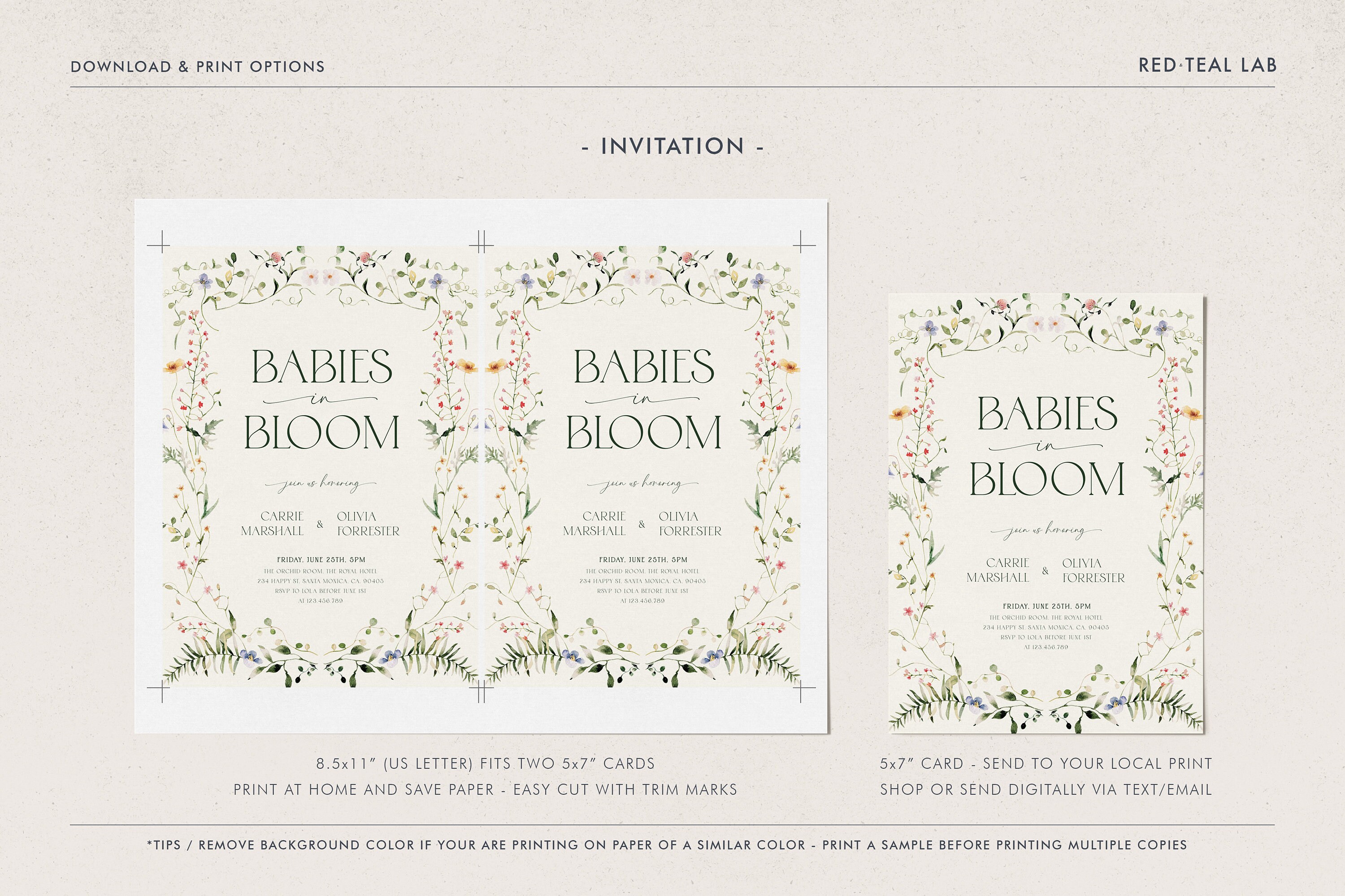 Double Baby Shower Invitation Template, Joint Baby Shower Invitation ...