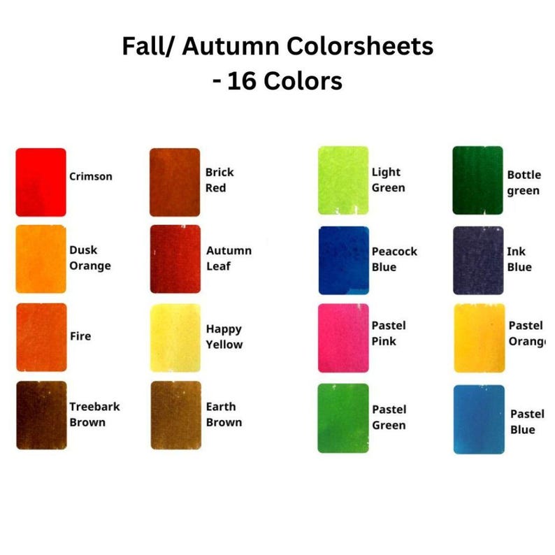 Viviva All-in-one Colorsheets Bundle - Etsy