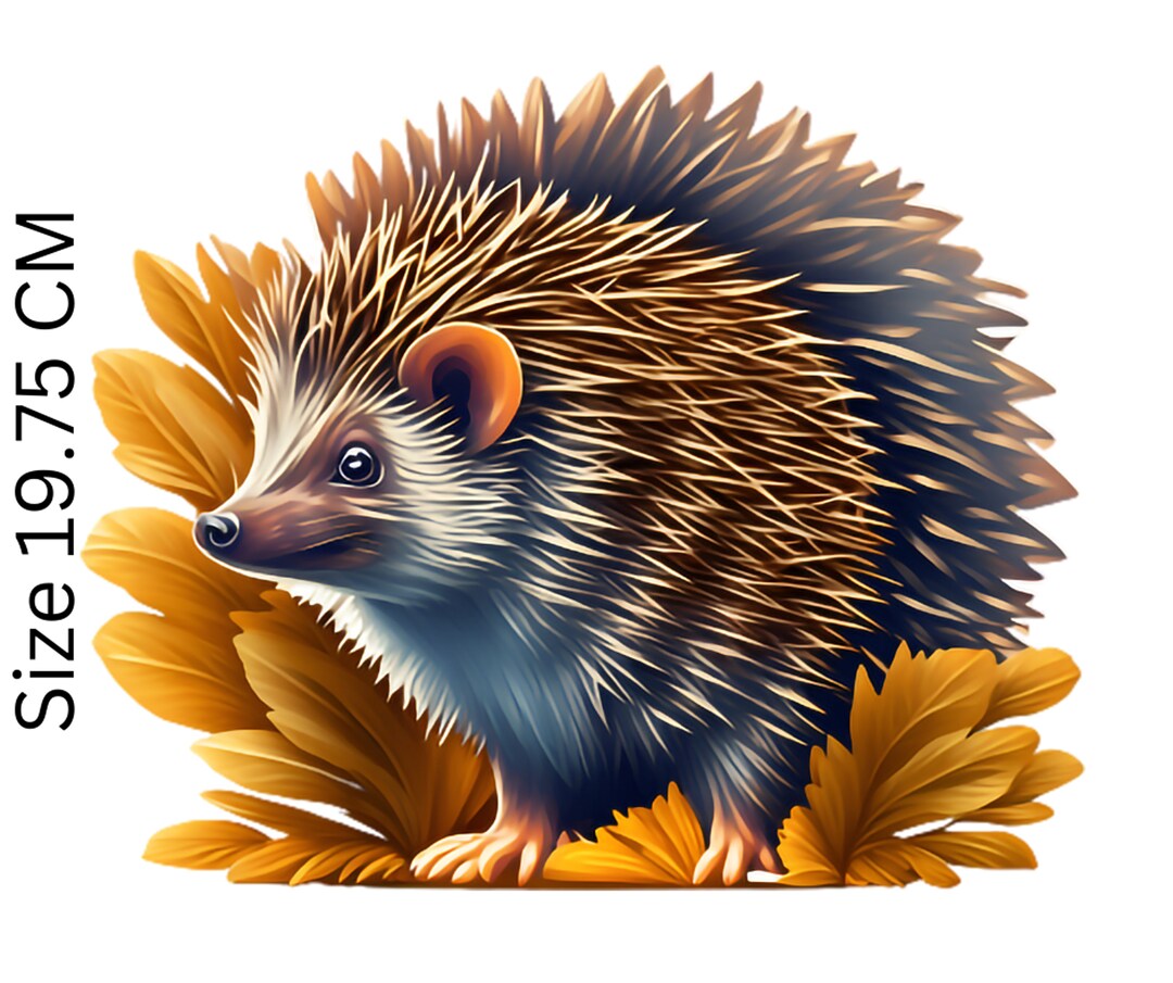 Hedgehog Iron on Heat Transfer Sticker for T-shirts Bags Tops - Etsy