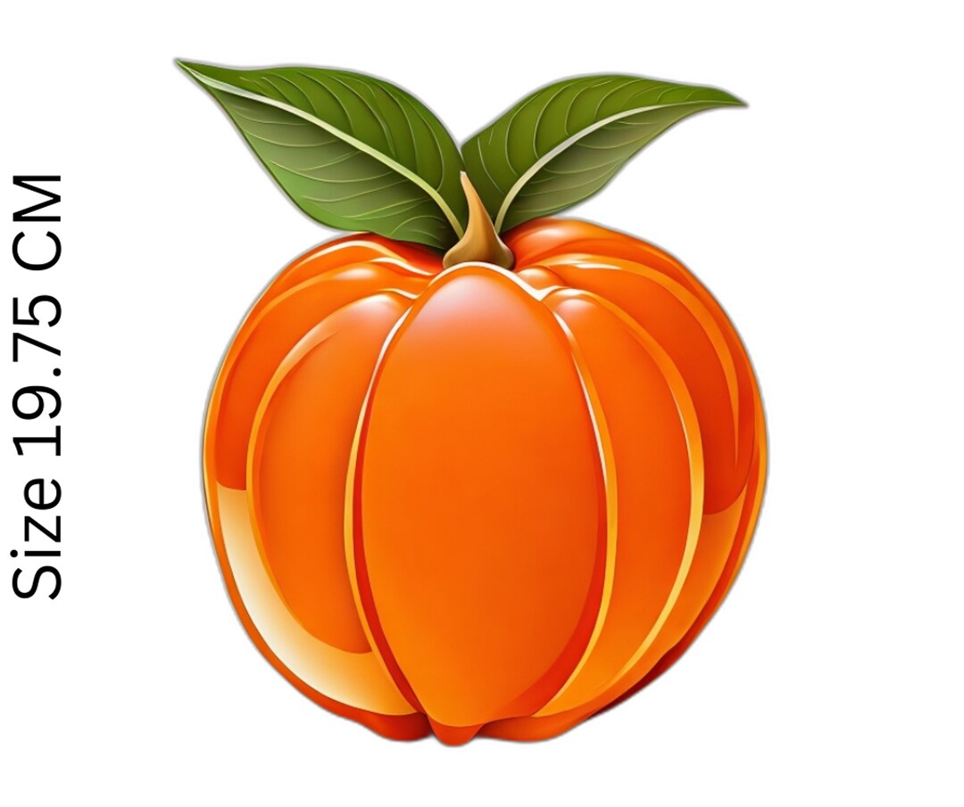Persimmon Iron on Heat Transfer Sticker for T-shirts Bags Tops - Etsy