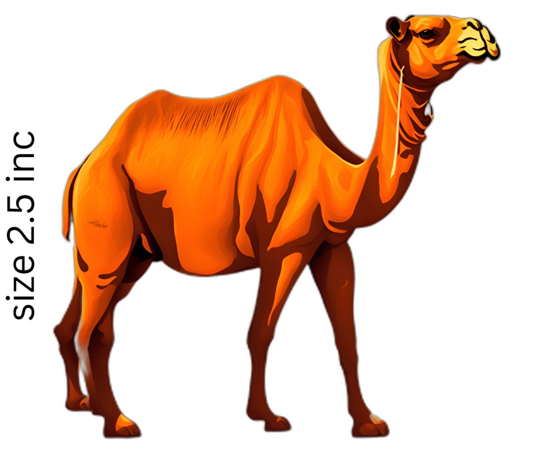 Camel Iron on Heat Transfer Sticker for T-shirts Bags Tops - Etsy