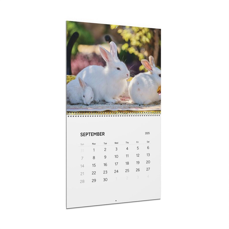 2025 Custom Pets Wall Calendars, 12 Photos 12 Months Calendar, 2025 ...