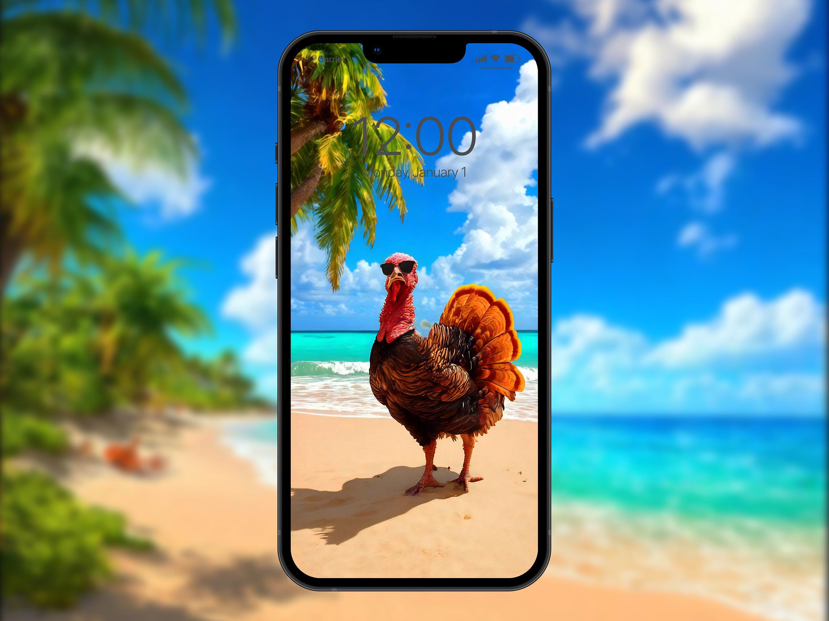 Beach Turkey Smartphone Wallpaper! - Etsy