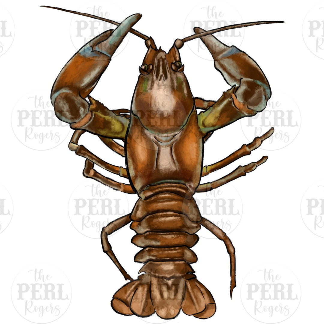 Crawfish Png Sublimation Design Download, Happy Mardi Gras Png, Mardi ...