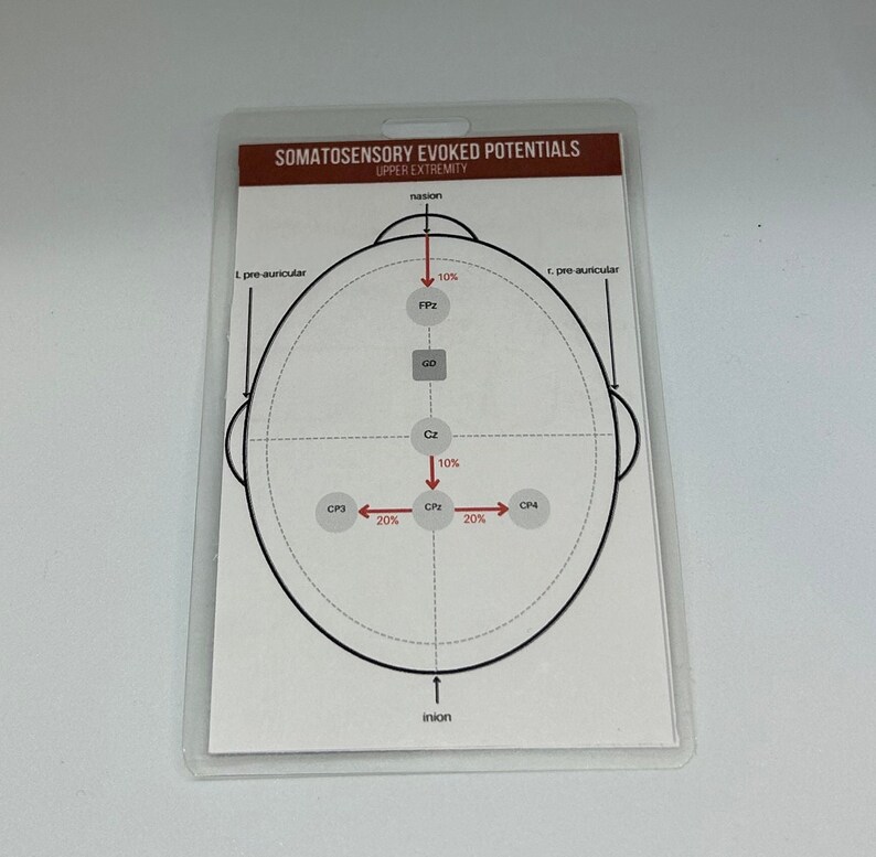 Evoked Potentials Badge Reference Cards - Etsy