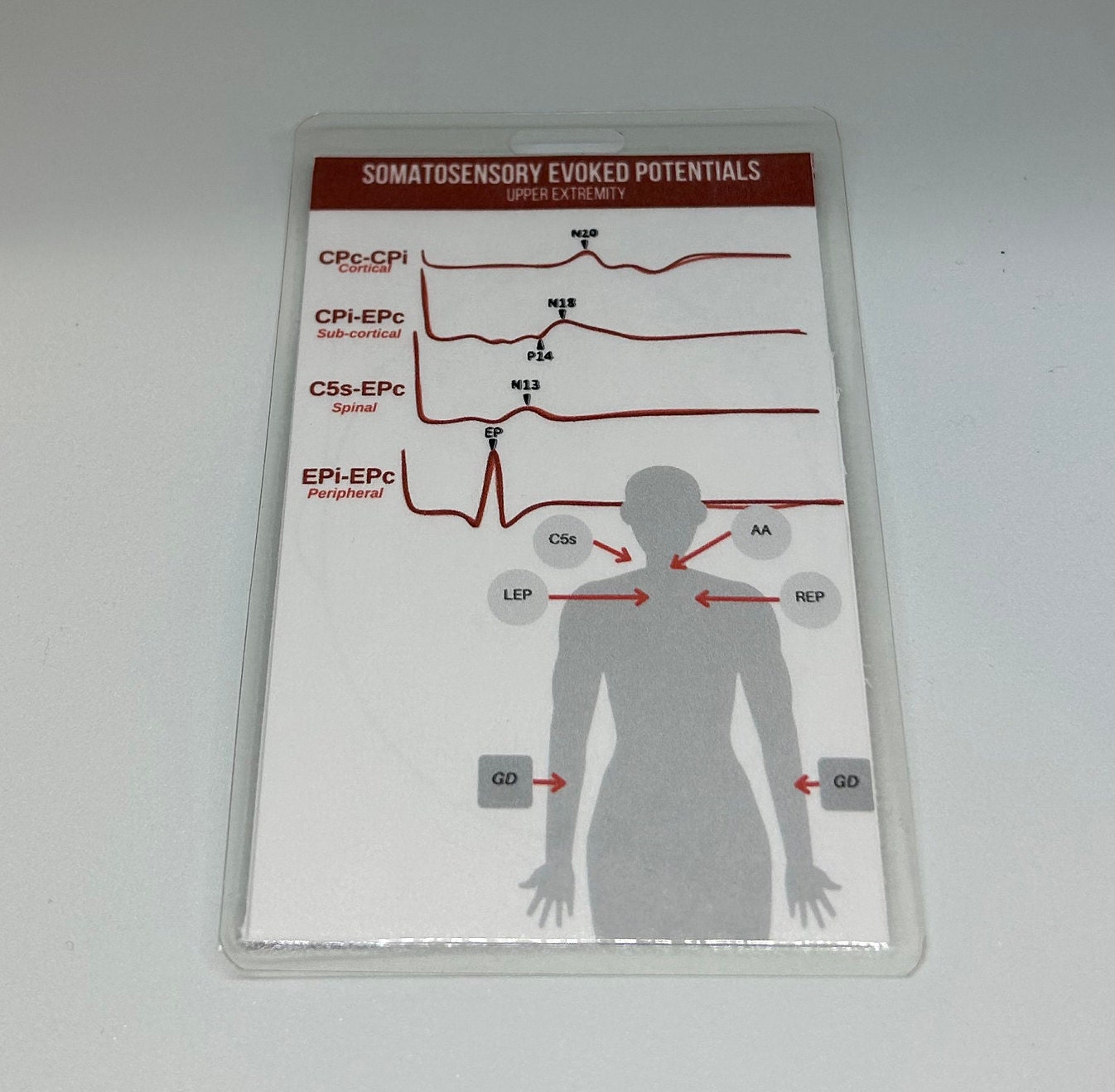 Evoked Potentials Badge Reference Cards - Etsy