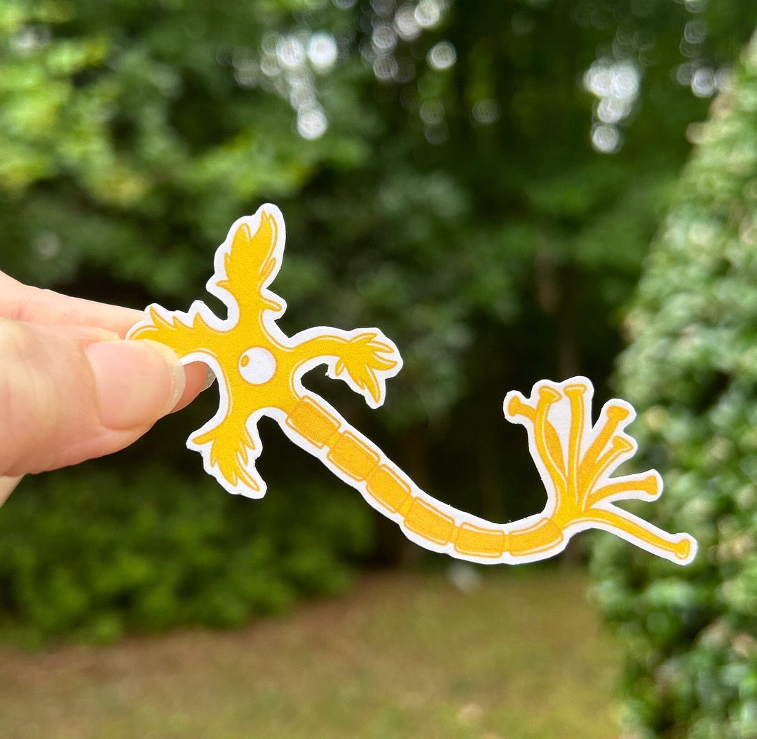 Neuron Sticker - Etsy