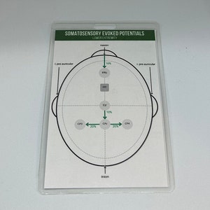 Evoked Potentials Badge Reference Cards - Etsy