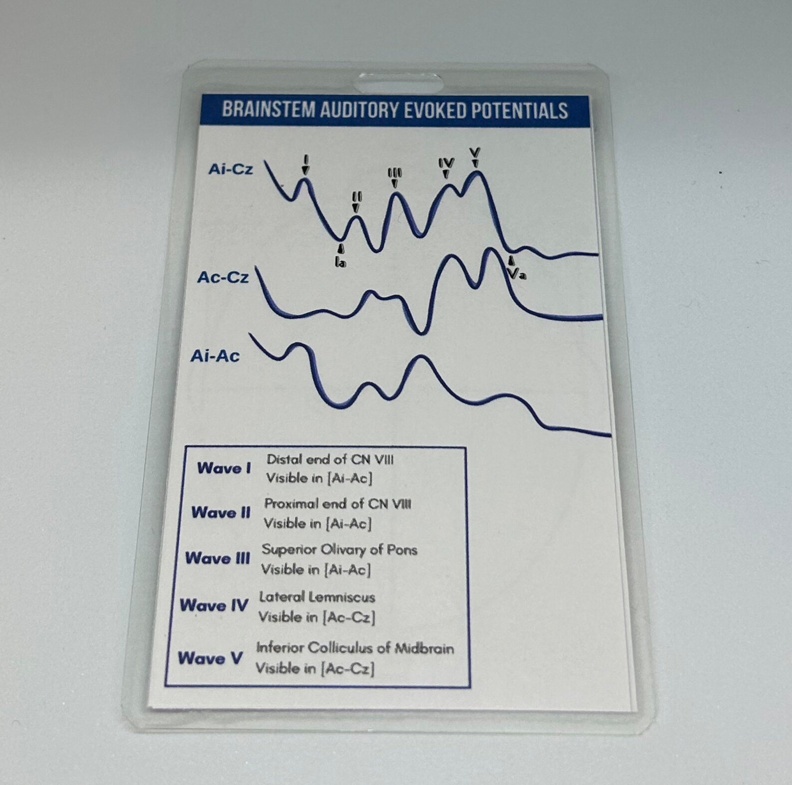 Evoked Potentials Badge Reference Cards - Etsy