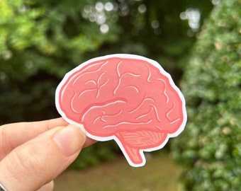 HOLOGRAPHIC Brain MRI/CT Vinyl Sticker | Anatomical Neuro Art - Etsy