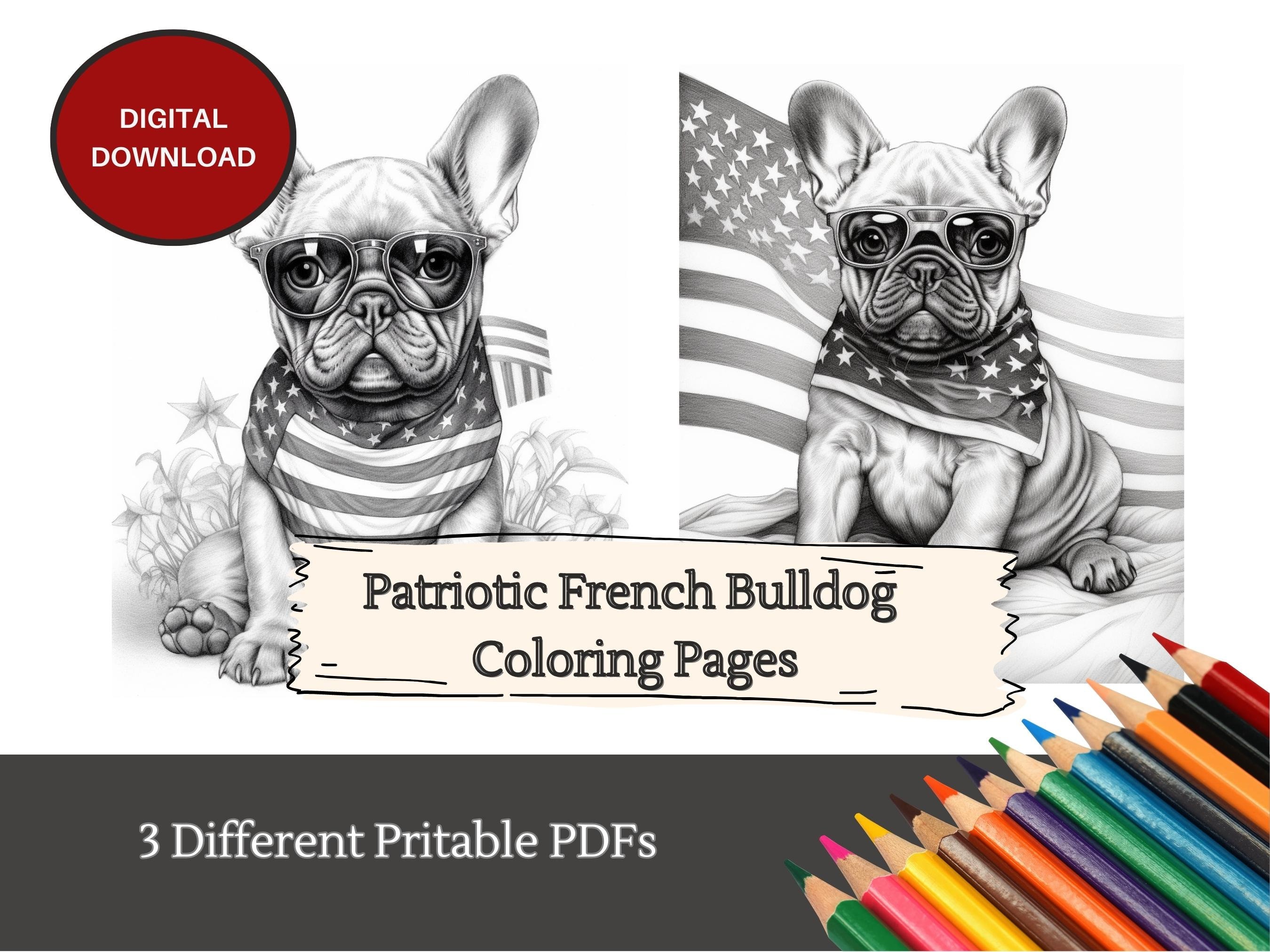 French Flag Coloring Page