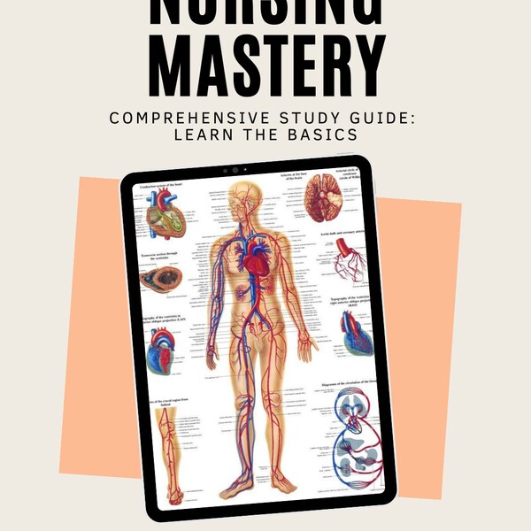 Nursing Study Guides - Etsy