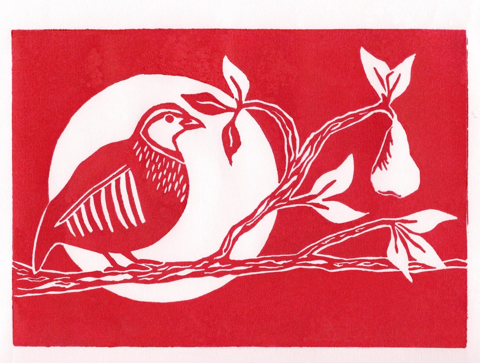 Set of 8 Partridge Christmas Cards in Two Designs From Original Lino ...
