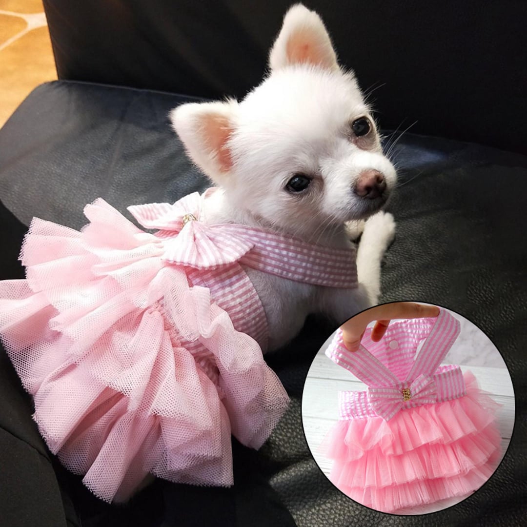 Fresh Puppy Bow Princess Style Chest Corset Skirt, Chihuahua Dog Skirt ...