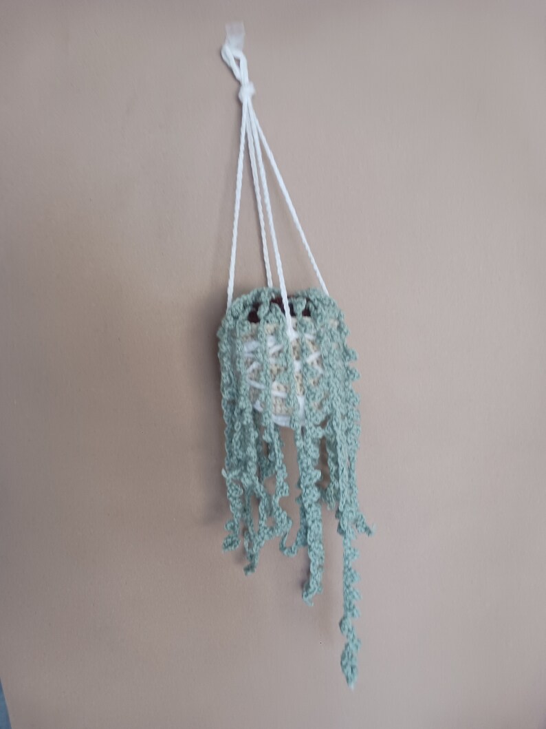 Hanging Plant Crochet Pattern - Etsy
