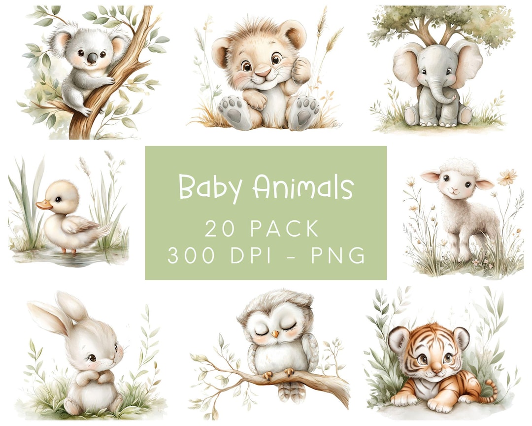 Adorable Baby Animals Clipart Cute Watercolor Digital Art Nursery Decor ...