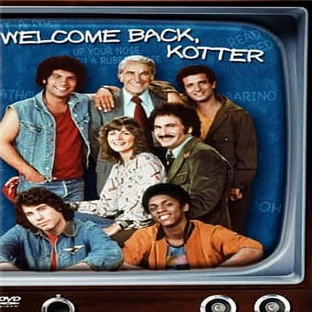 Welcome Back Kotter 1975 Complete TV Series - Etsy
