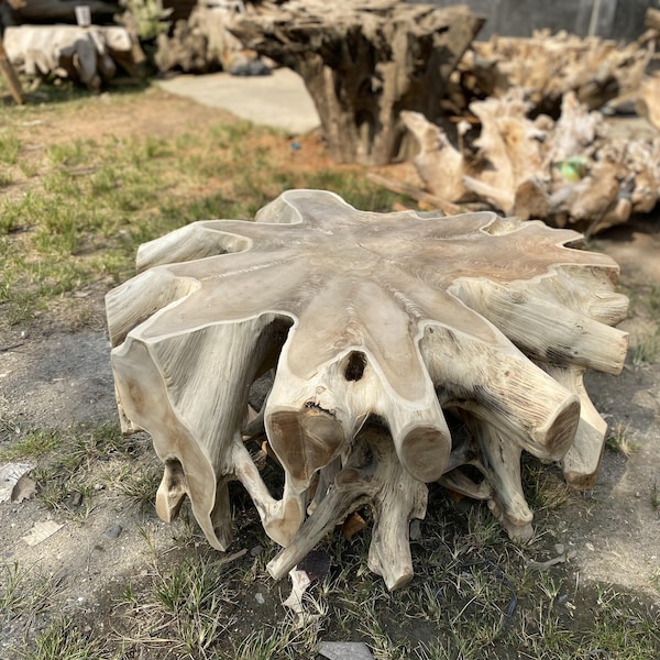 Teak Root Coffee Table - Etsy