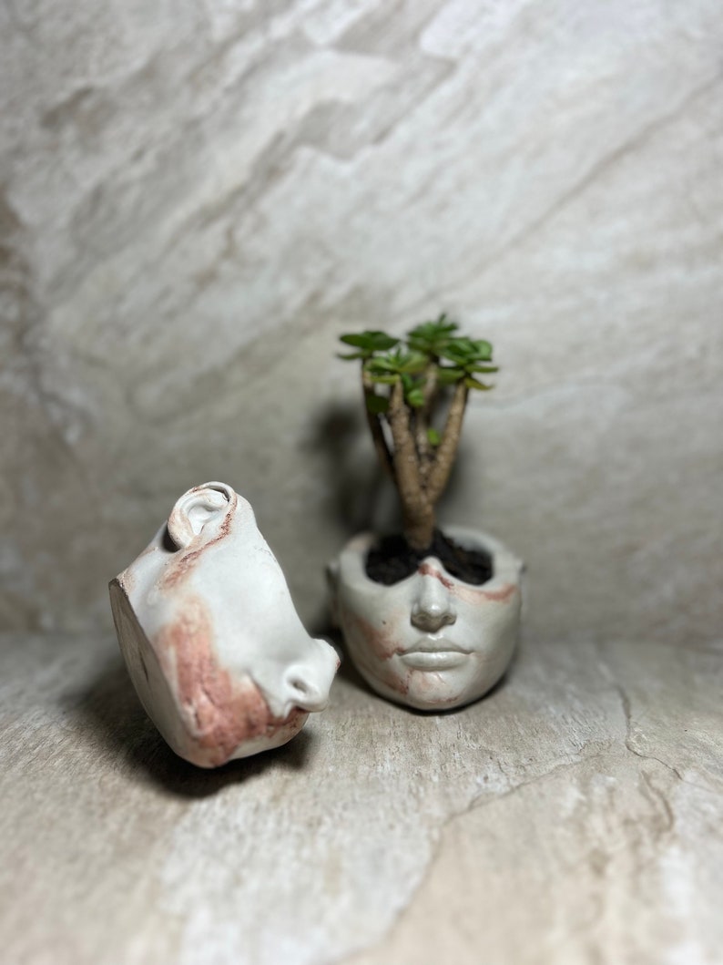 Versatile Concrete Face Planter Woman Head Statue Abstract - Etsy