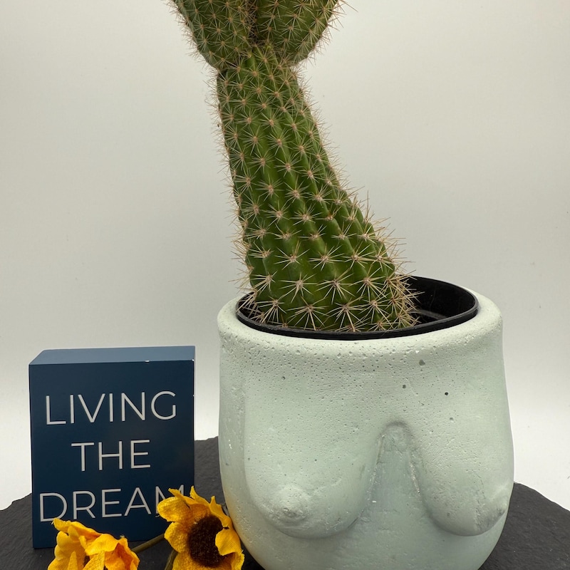 Female Body Planter - Etsy