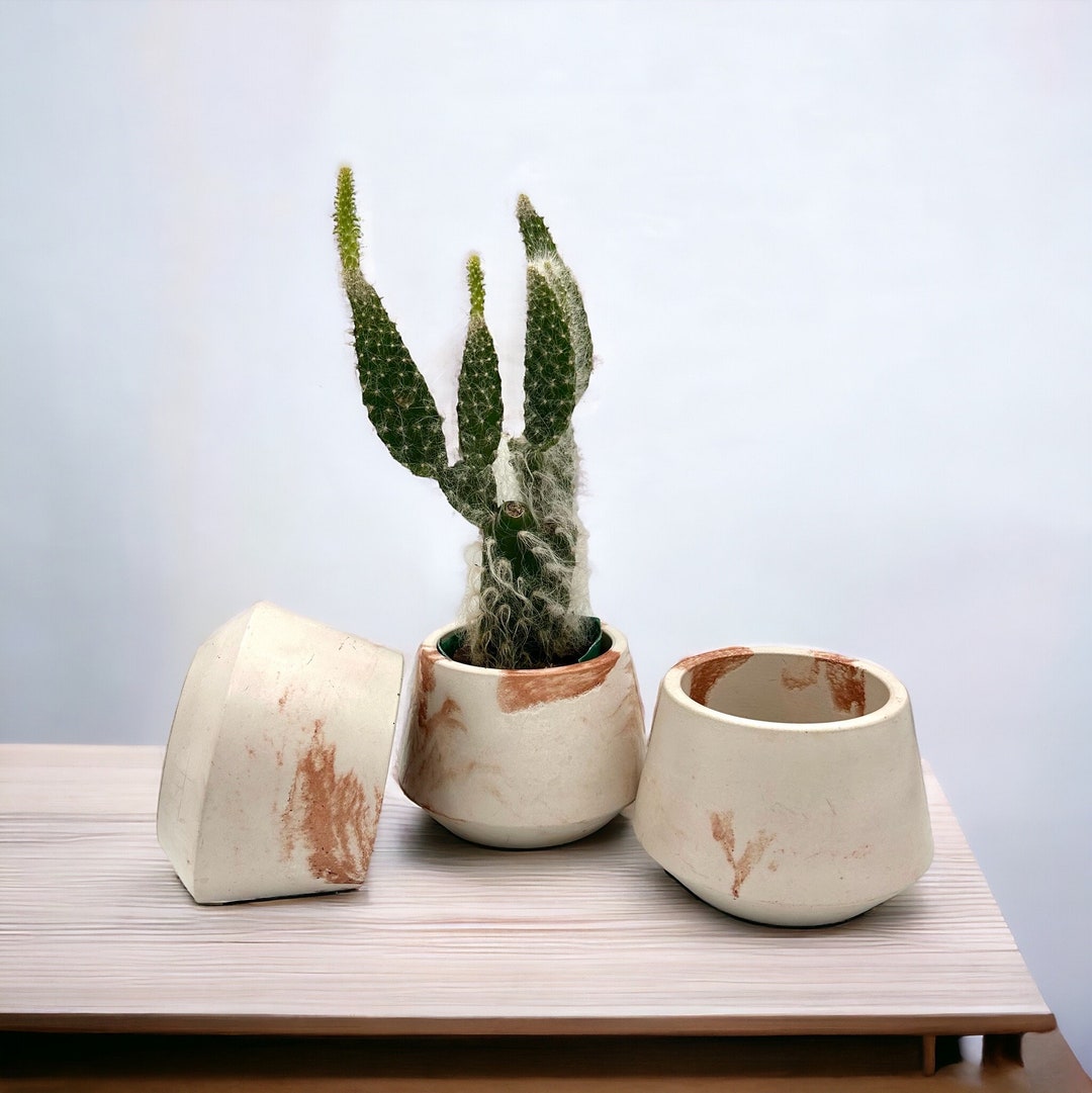 Concrete Harper Shaped Planter | Succulent | Gray With Rose Gold ...