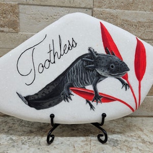 M&M Painted Rocks-set of 3 - Etsy Australia