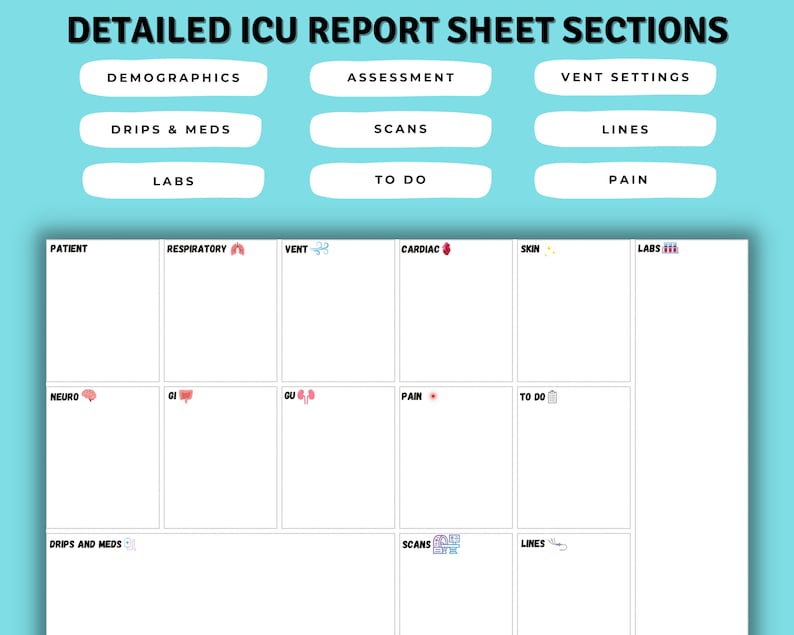 Editable ICU Nurse Report Sheet With Hourly Organization, ICU Nurse ...