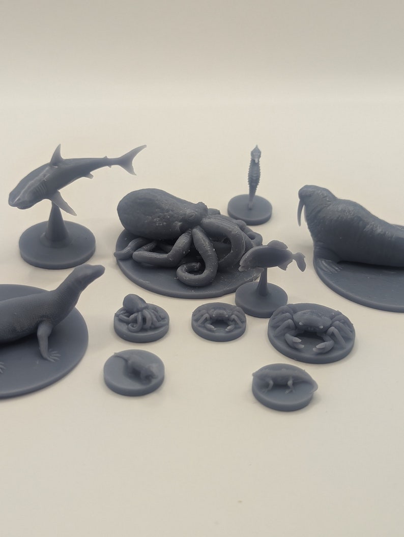 Coastal Druid Wild Shape Miniatures Set | Dnd Animal Minis | Wildshape ...