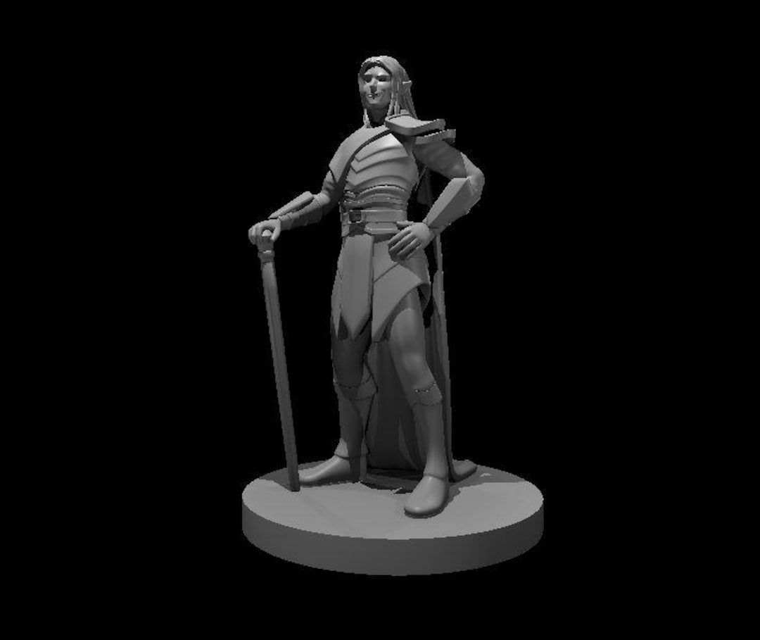 Dnd Mini Figurine Dhampir Adventurer: 3D Printed Resin Dungeons and ...