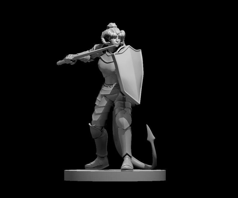 Dnd Minifig Female Playable Characters Dungeons and Dragons Mini ...
