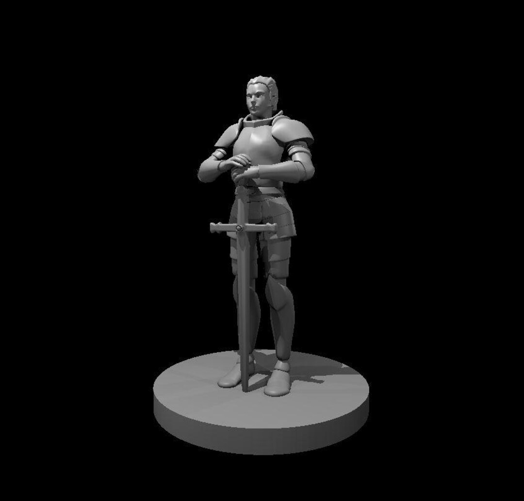 Dnd Minifig Knights Dungeons and Dragons Mini Figurine Resin 3D Printed ...