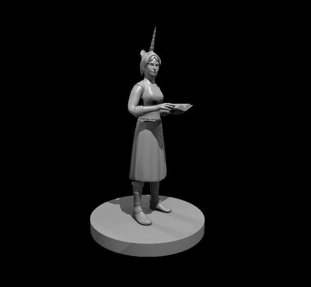 Dnd Minifig Female Playable Characters Dungeons and Dragons Mini ...