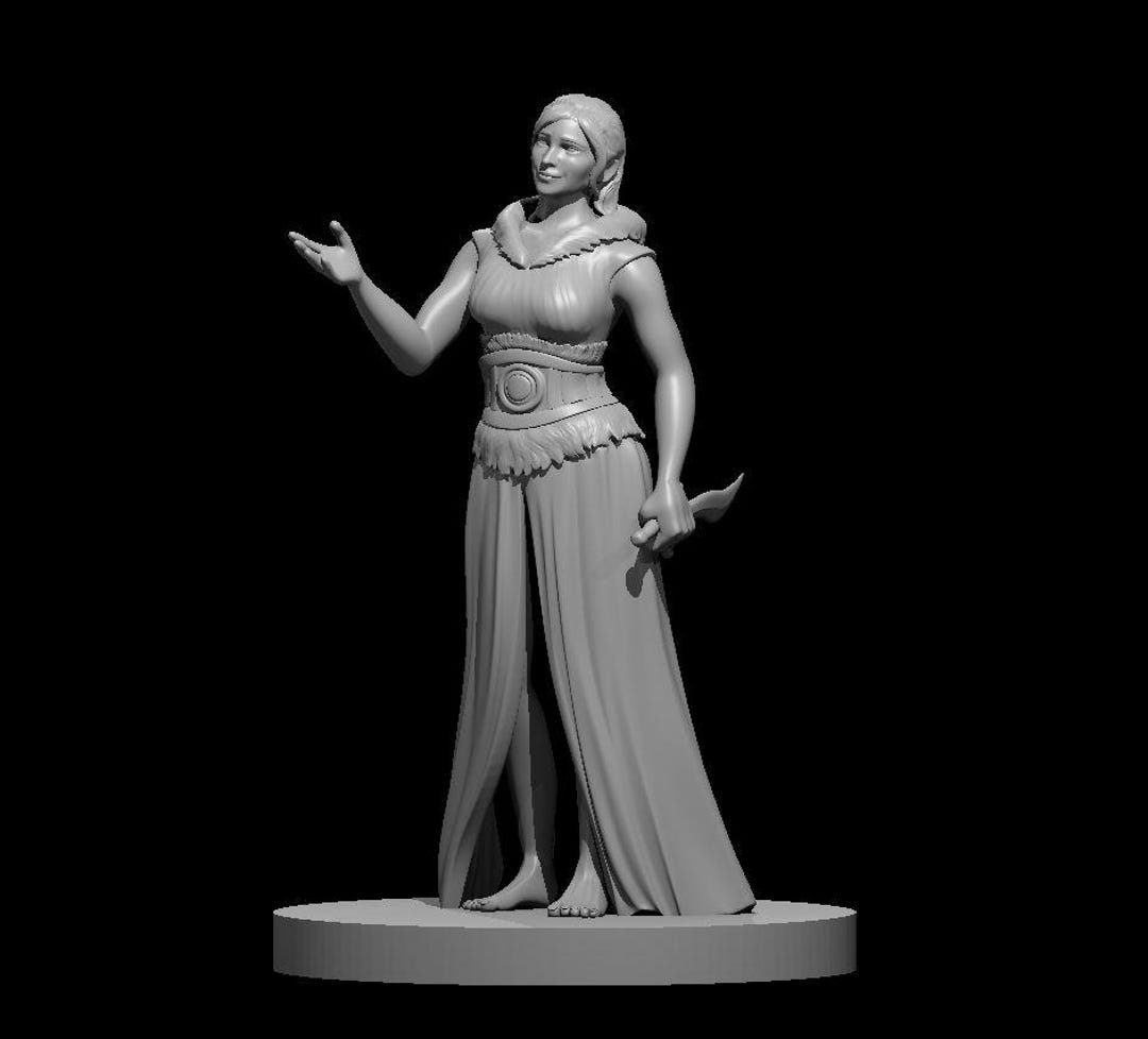 Dnd Minifig Female Playable Characters Dungeons and Dragons Mini ...