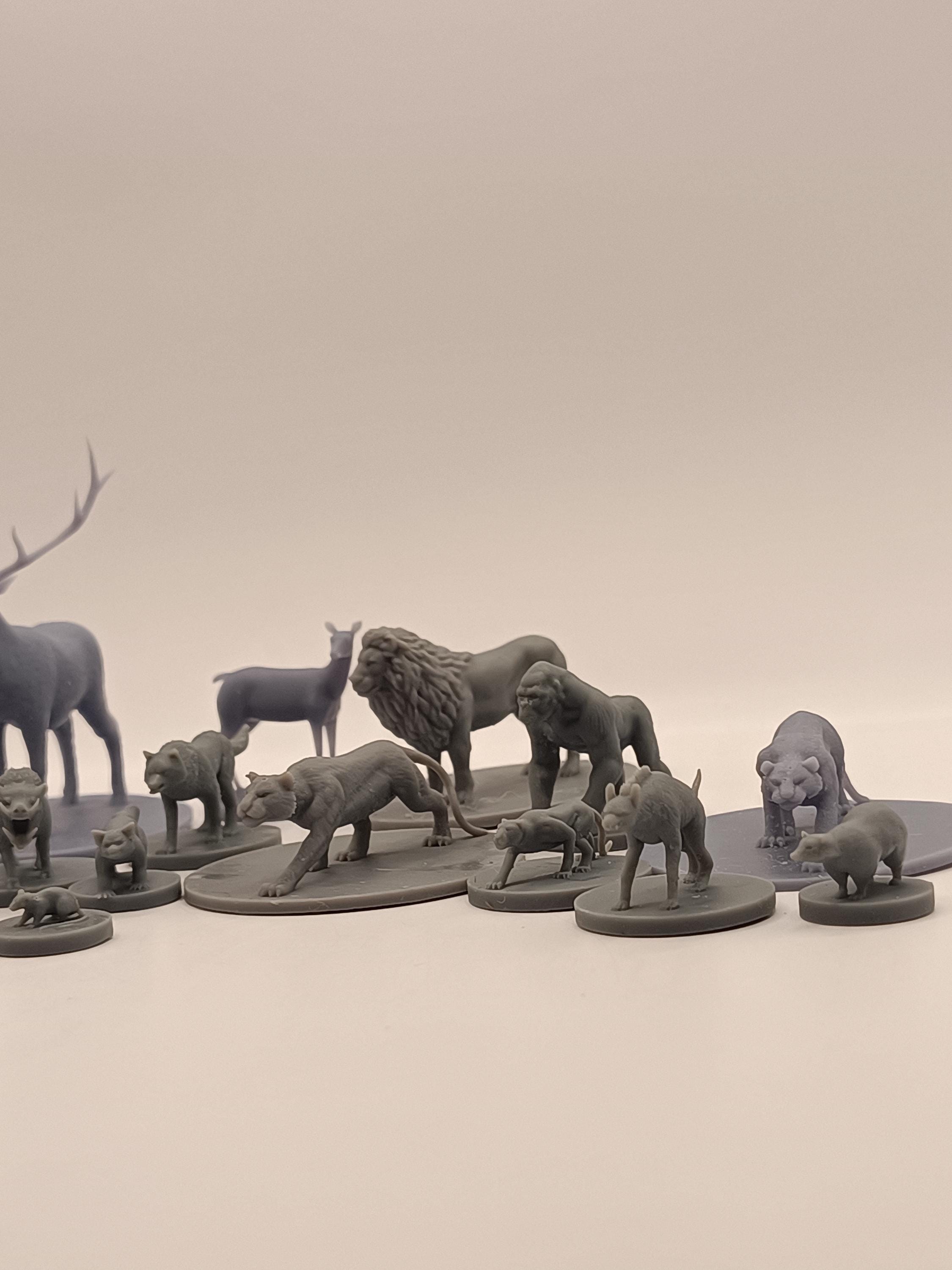 Druid Wild Shape Miniature Set of 16 | Dnd Animal Minis | Wildshape ...