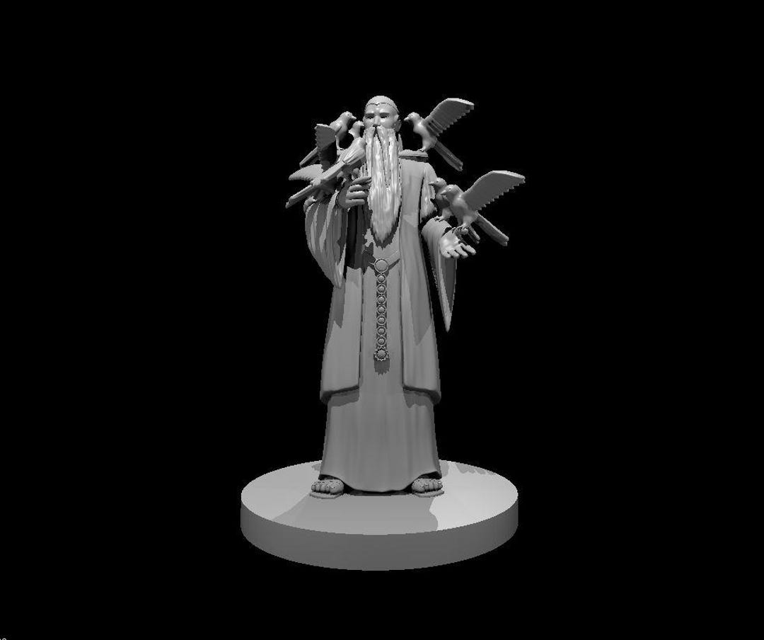 Dnd Mini Figurine Old Man With the Canaries: 3D Printed Resin Dungeons ...