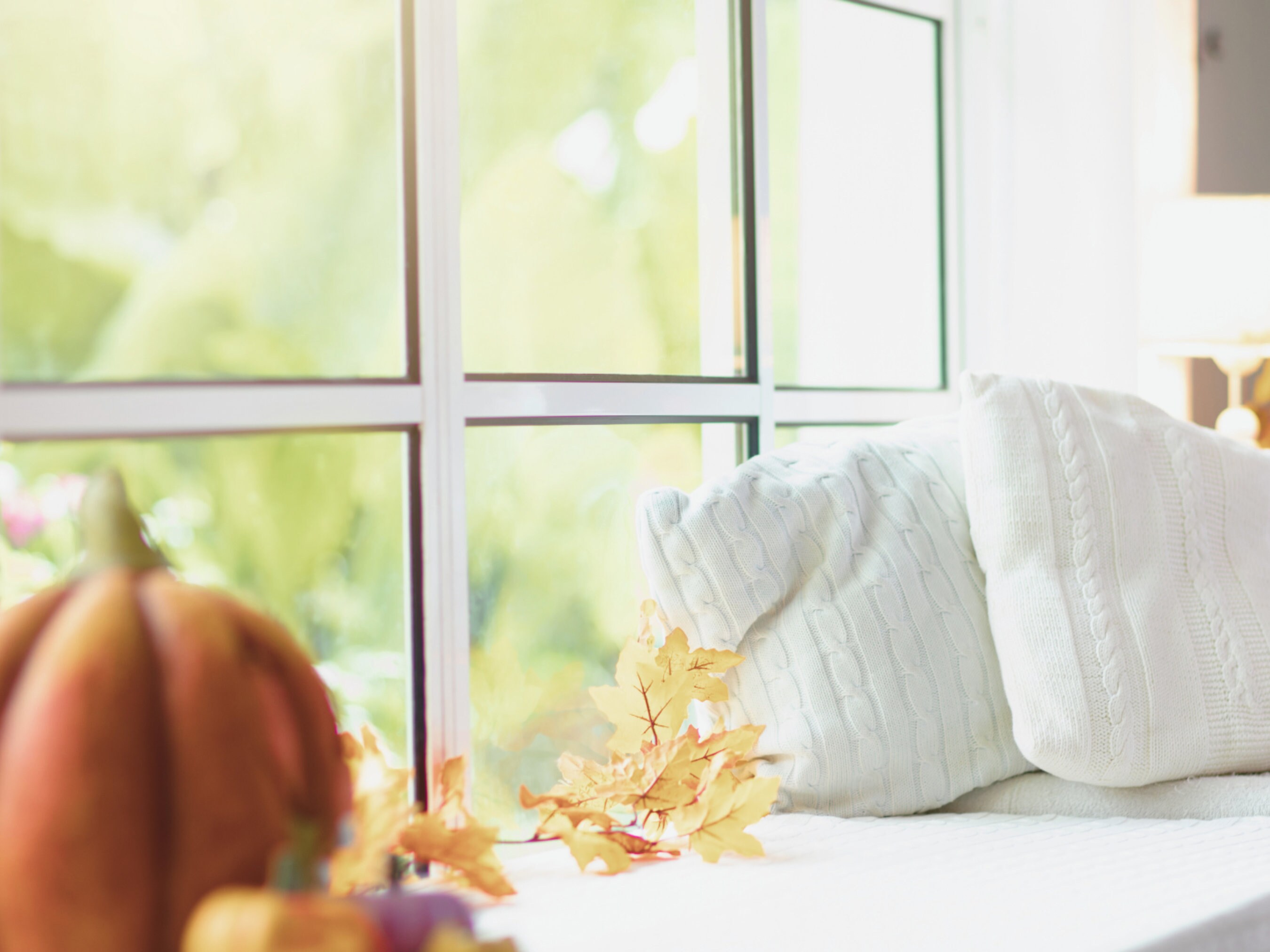 Hello Fall Zoom Backgrounds Blurred Zoom Back Zoom - Etsy UK