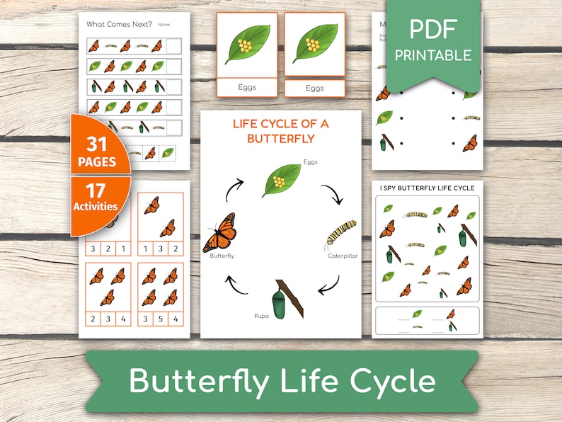 Butterfly Life Cycle Activity Bundle: Educational Printable Set (PDF ...