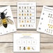 Bee Life Cycle Activity Bundle: Educational Printable Set (PDF ...