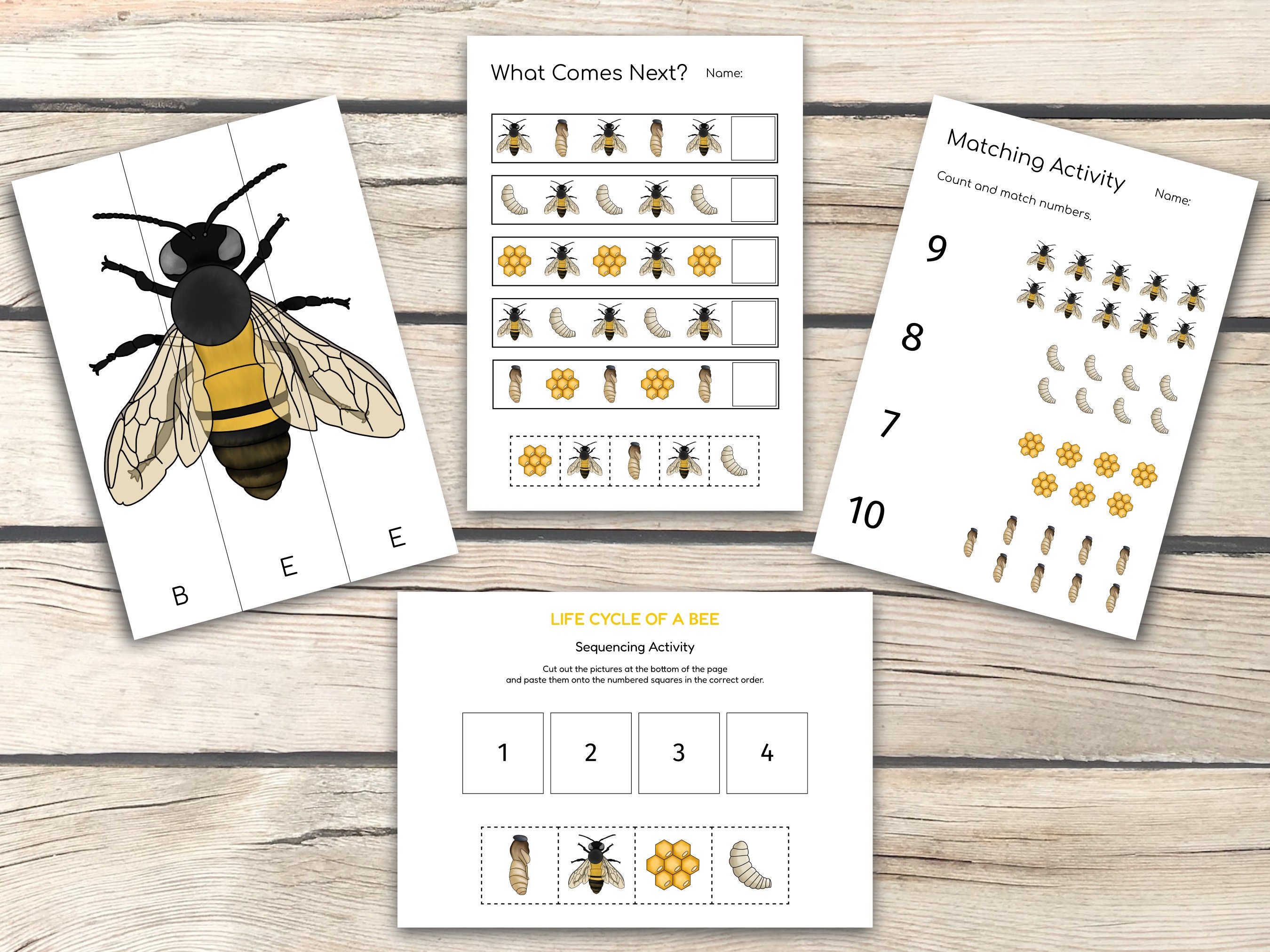 Bee Life Cycle Activity Bundle: Educational Printable Set (PDF ...