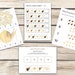 Snail Life Cycle Activity Bundle, Snail Activities, Learn Snail, Snail ...