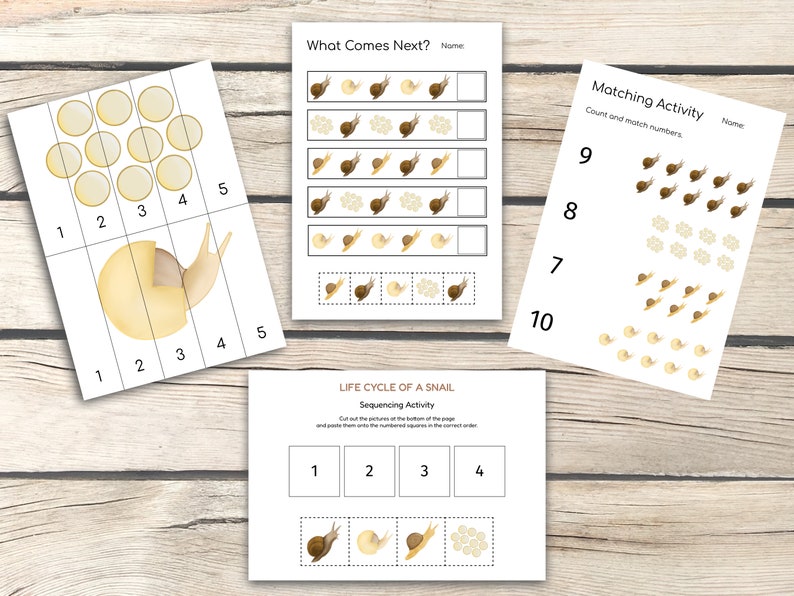 Snail Life Cycle Activity Bundle, Snail Activities, Learn Snail, Snail ...