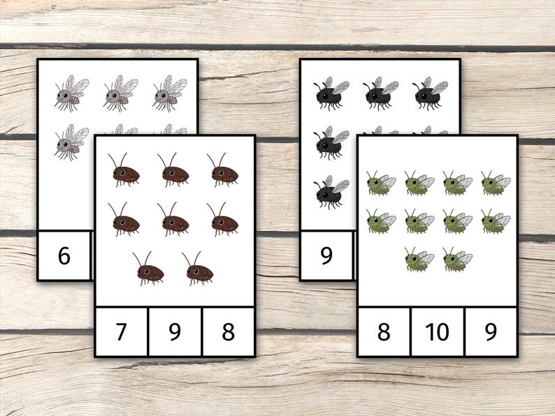 Bugs & Insects Counting Cards, Montessori Preschool Activity (PDF ...