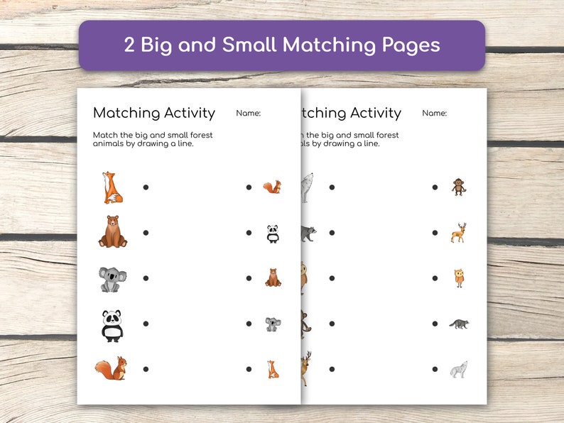 Forest Animals Matching Activity 5 Different Types Worksheet • 10 Pages ...