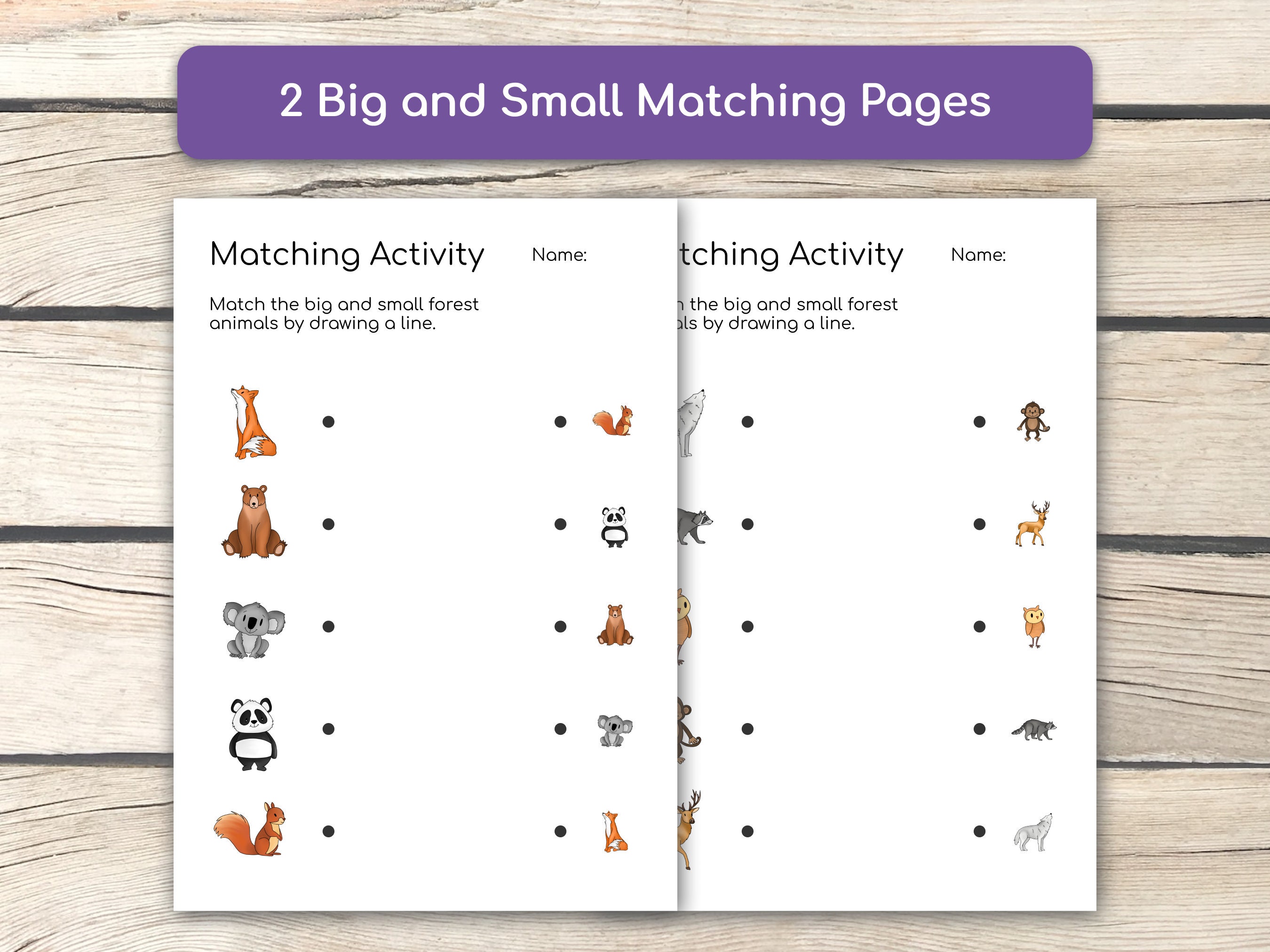 Forest Animals Matching Activity 5 Different Types Worksheet • 10 Pages ...
